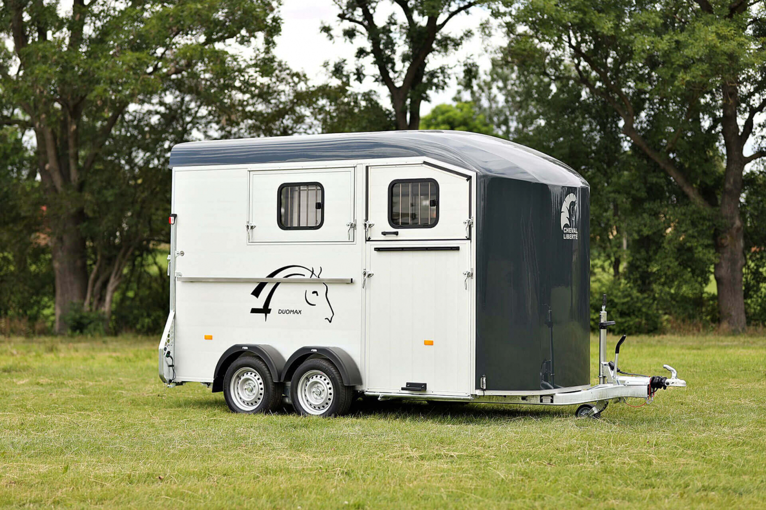 VAN 2 PLACES CHARGEMENT DIAGONAL CHEVAL LIBERTE MAXI 2 (à partir de 321 ...